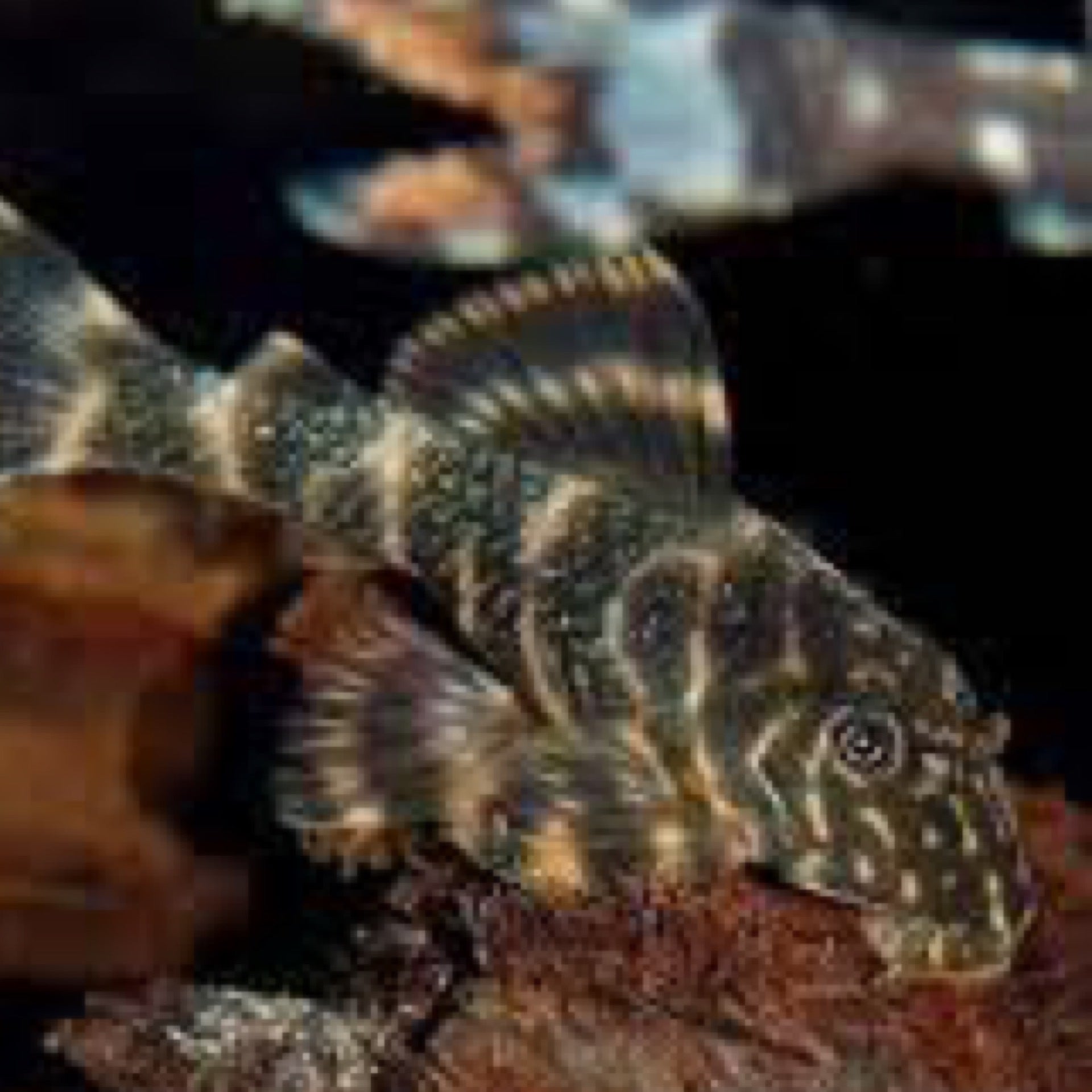 L103 Clown Pleco | Fish Fix